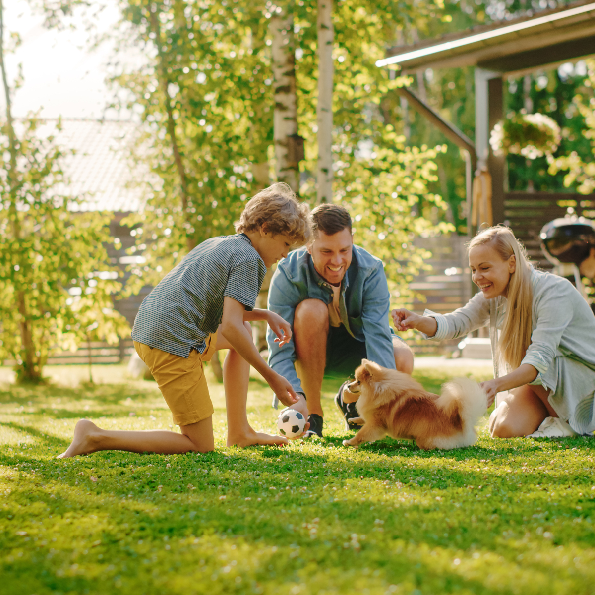 equ | Wins Digital Account for Merged Satterley and LWP Group